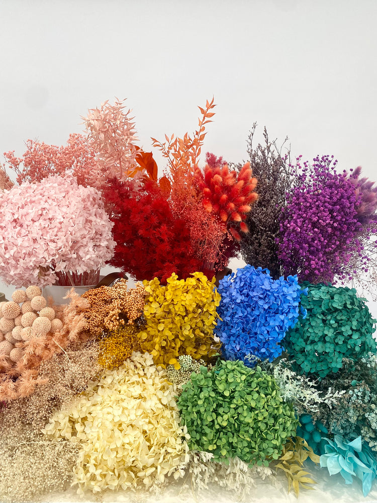 BILLY & BOO – Billy & Boo