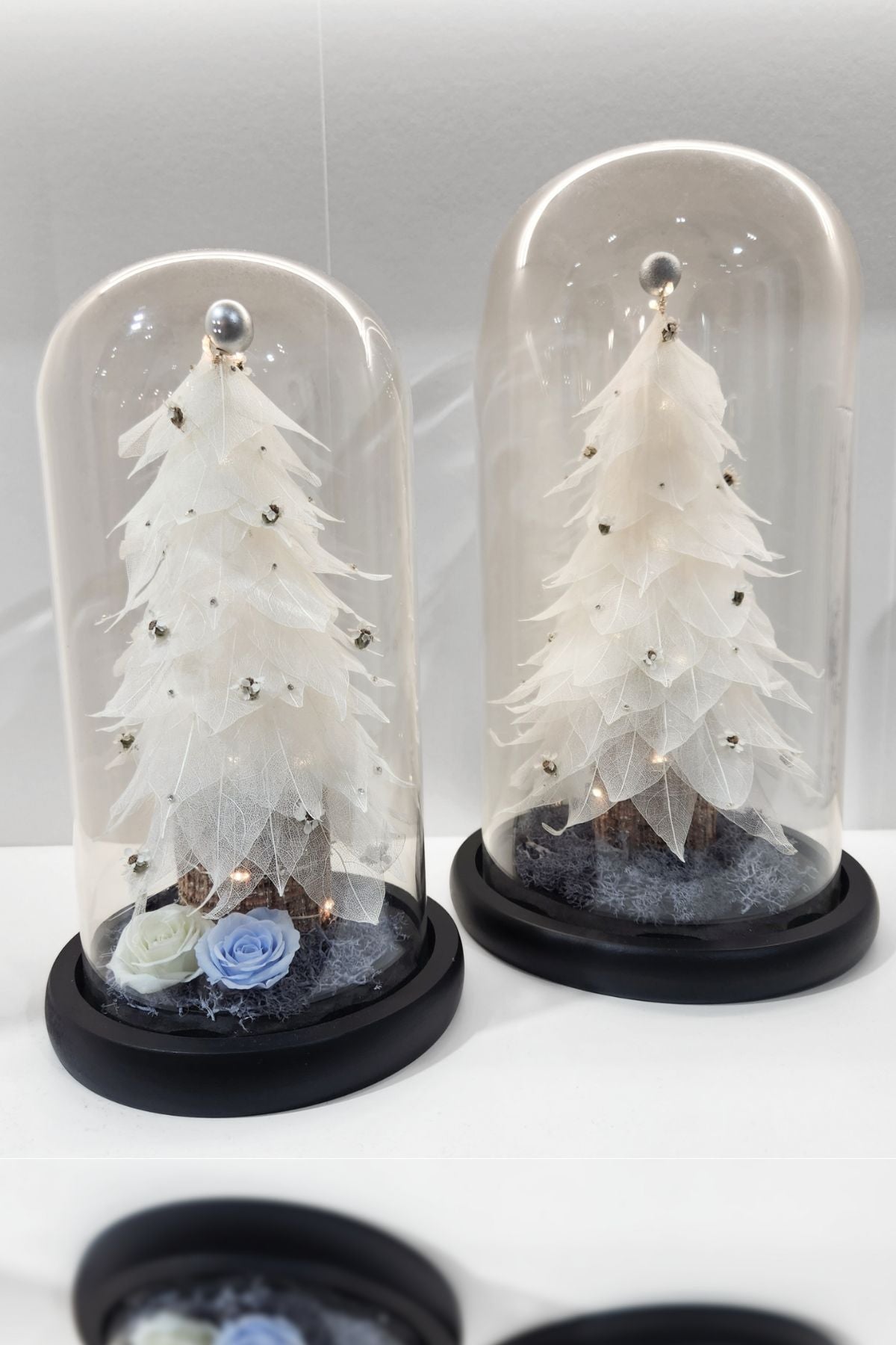 Collections – Billy & Boo